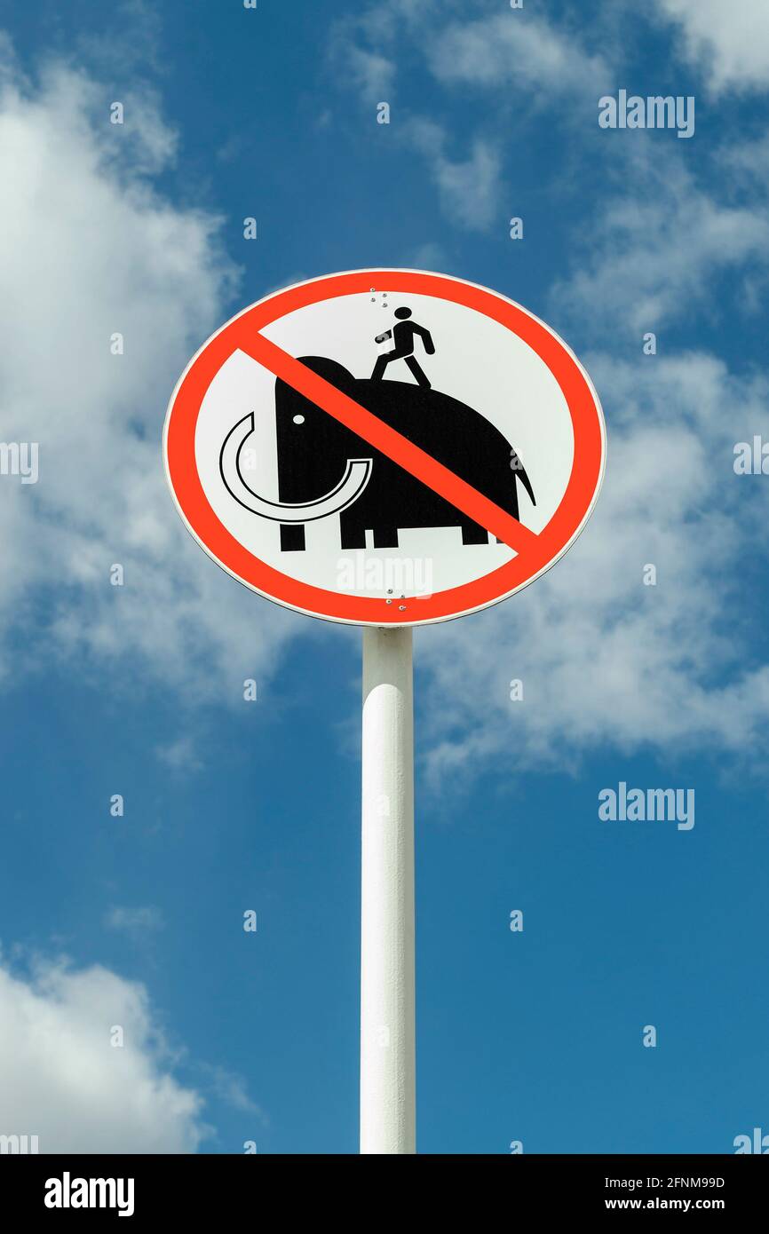 Vertical shot. Nature, front view Stock Photo - Alamy