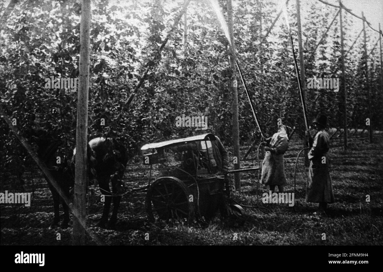 Harvesting 1930s hi-res stock photography and images - Alamy