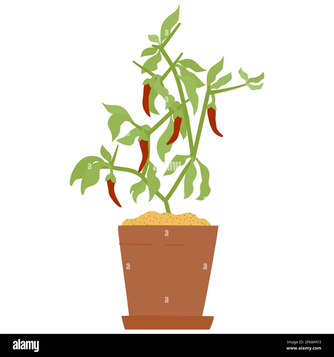 Chili Pot Vector