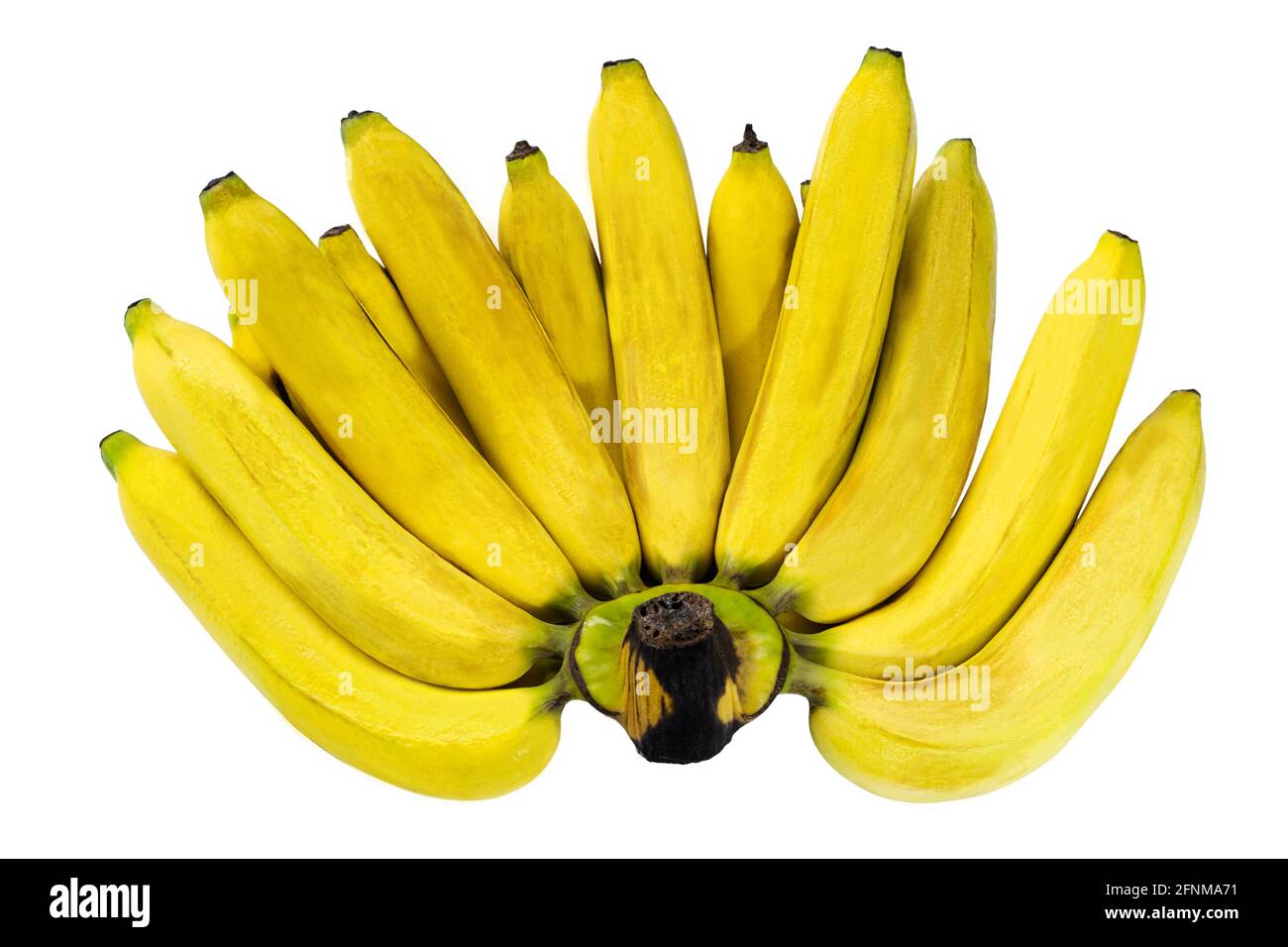 Closeup a comb of ripe yellow bananas isolated on white background ...