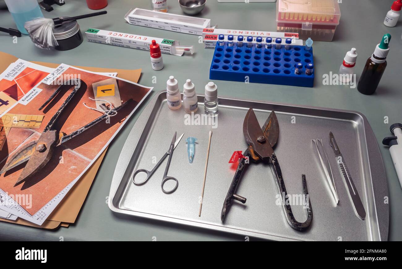forceps next to the crime scene photos, crime lab analysis of dna ...