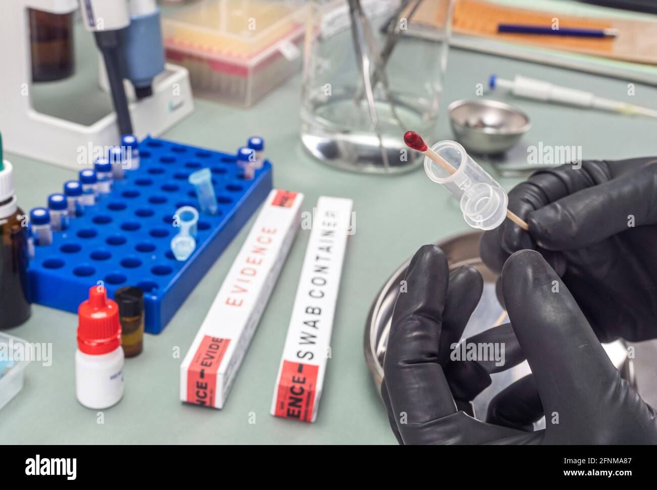Police expert extracts traces of blood in a swab for analysis in the ...