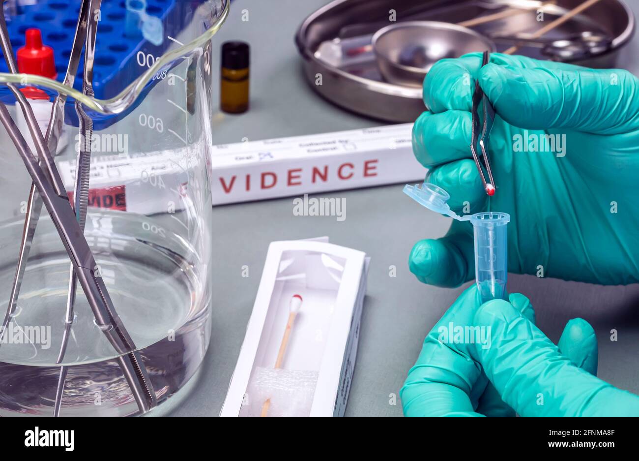 Police scientist holds piece of swab in vial to analyse dna traces from ...