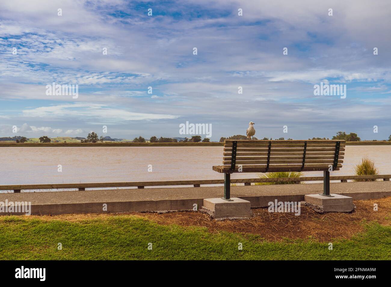 Thinking spot hi-res stock photography and images - Alamy