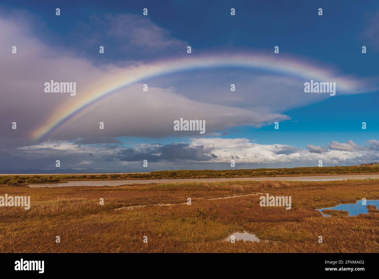Shell rainbow hi-res stock photography and images - Alamy