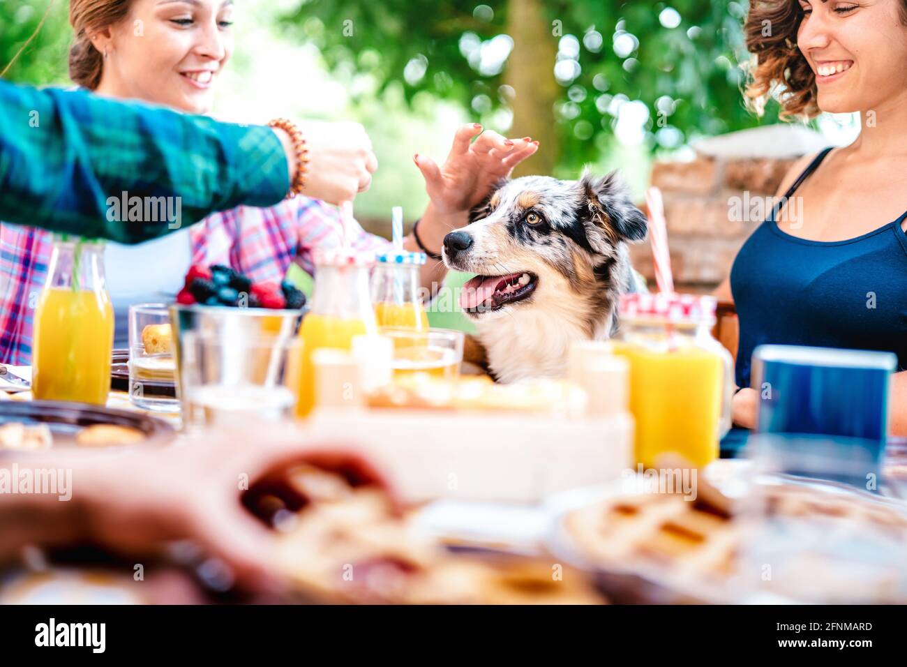 Young women on healthy pic nic breakfast with cute puppy at countryside ...