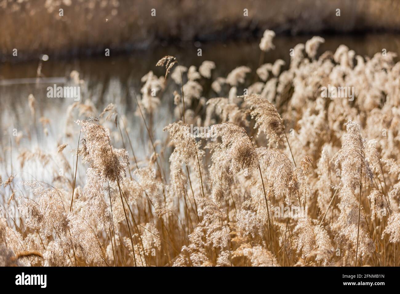East ham station sign hi-res stock photography and images - Alamy