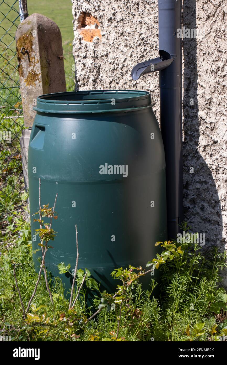 A full tank of rainwater under the gutter Stock Photo - Alamy
