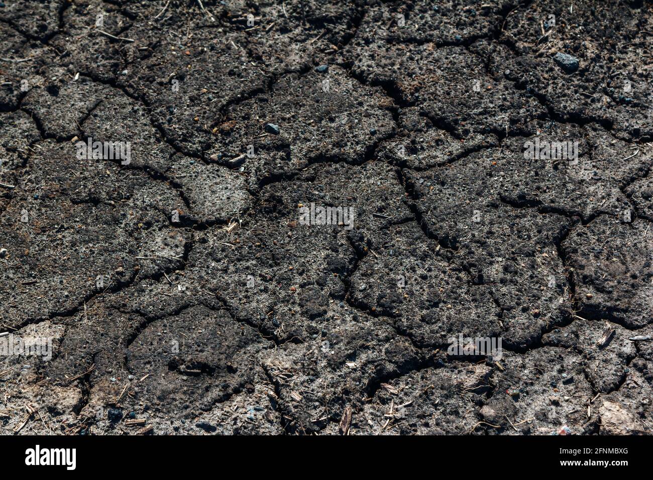 Cracked soil texture hi-res stock photography and images - Alamy