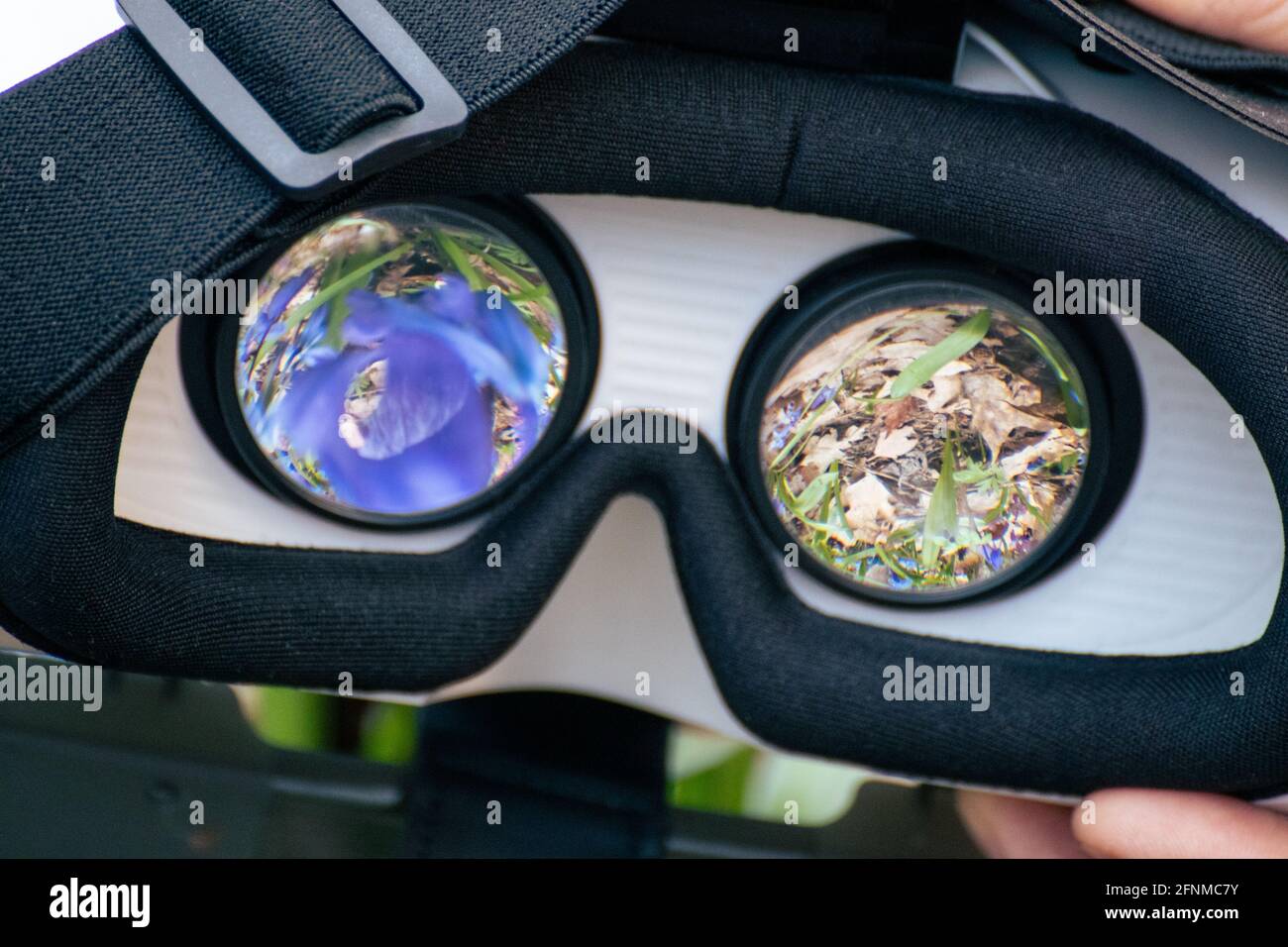 3D Virtual reality headset glasses. Looking through lens in spring wild ...