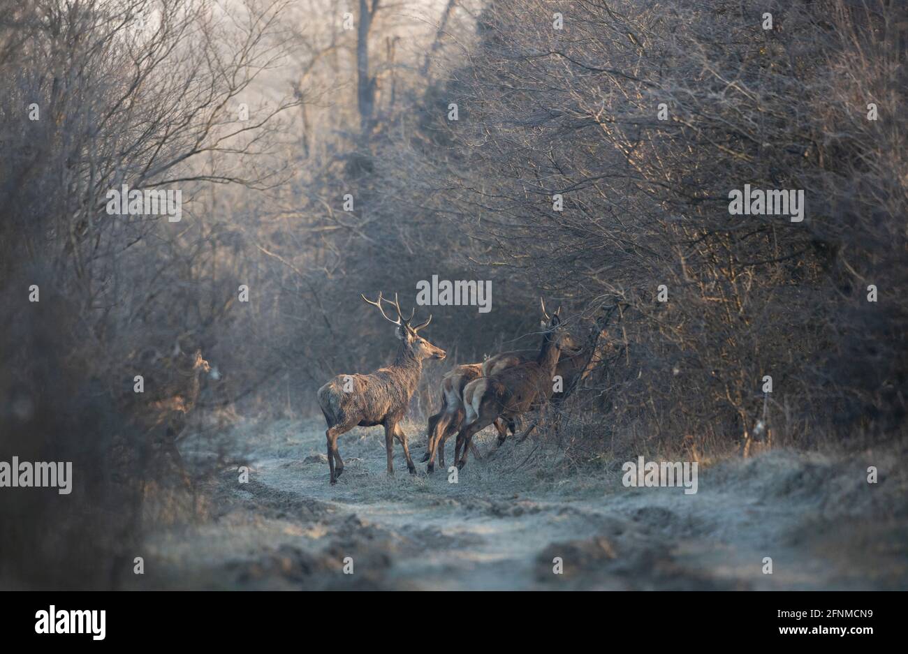 Group running away hi-res stock photography and images - Alamy