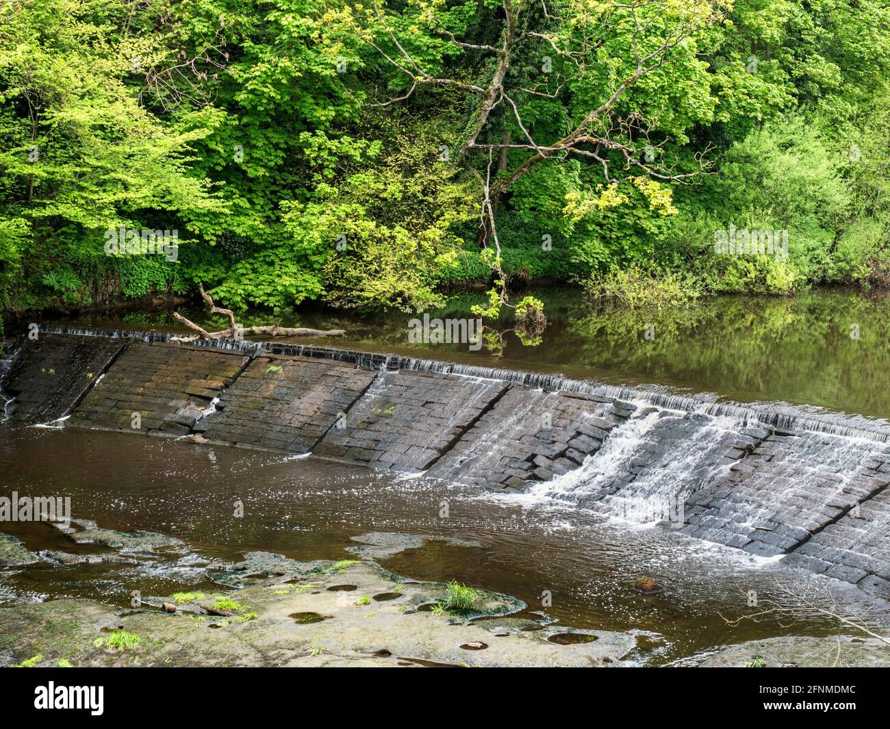 Goldsborough mill weir hi-res stock photography and images - Alamy
