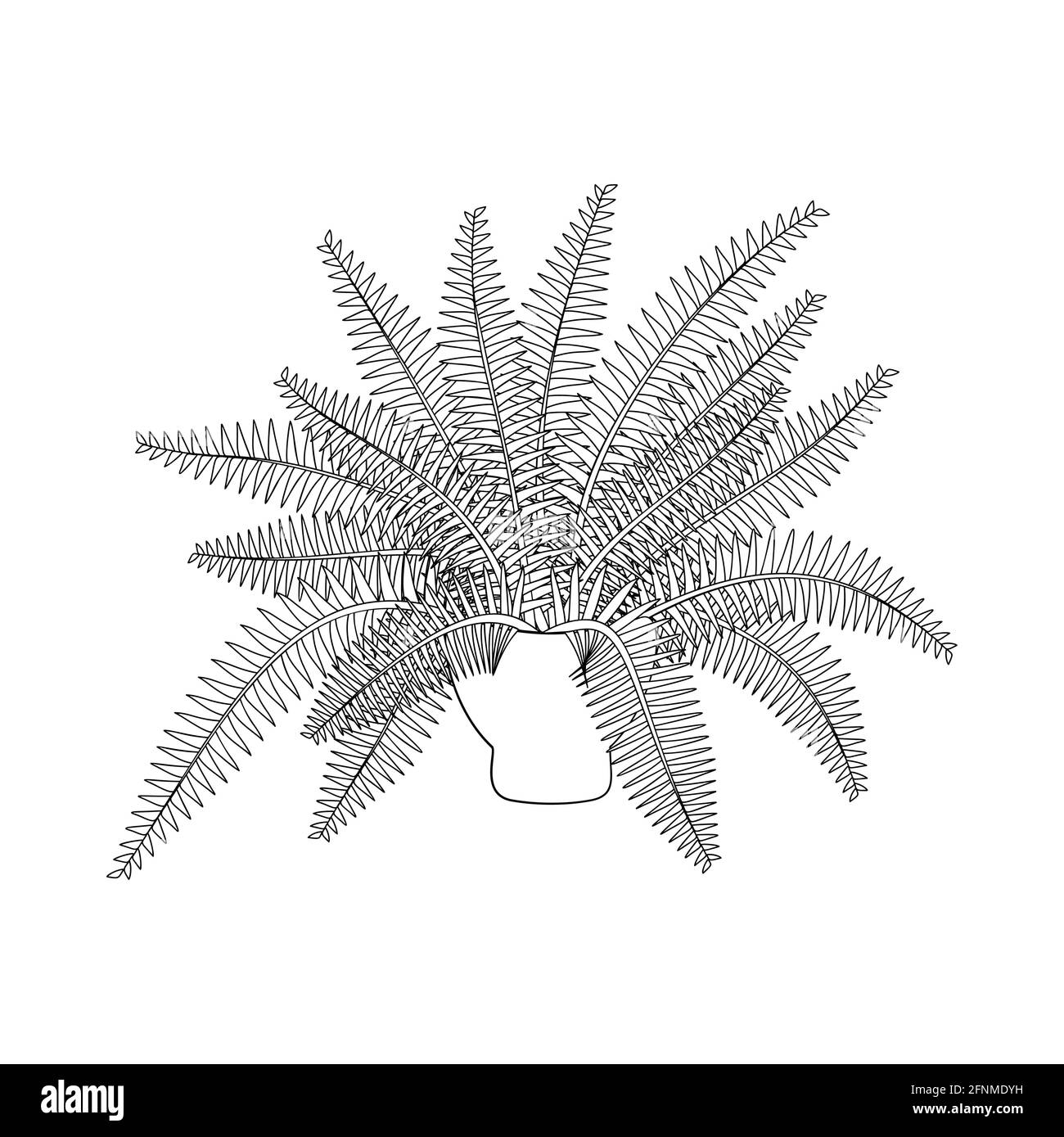 Line art black tropical potted house plant fern isolated on white ...