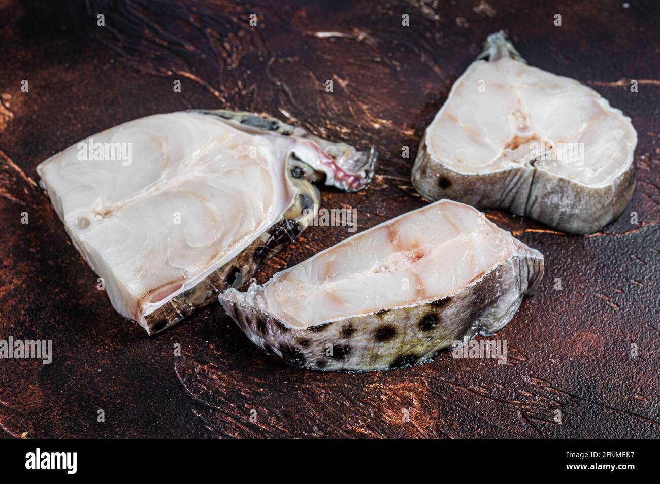 Wolffish Fish Britannicacom