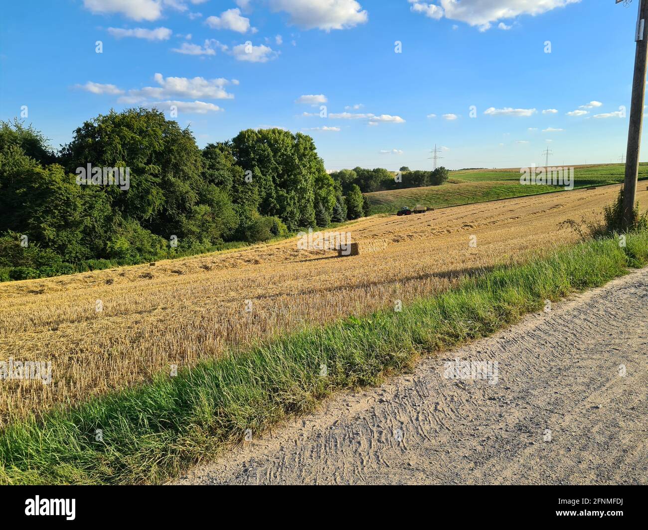 Agriculture. Tractor plowing field. Wheels covered in mud, field in the ...