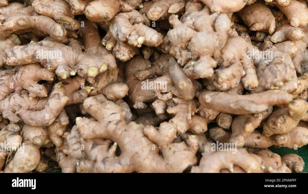 Ginger is a flowering plant whose rhizome, ginger root or ginger Stock ...