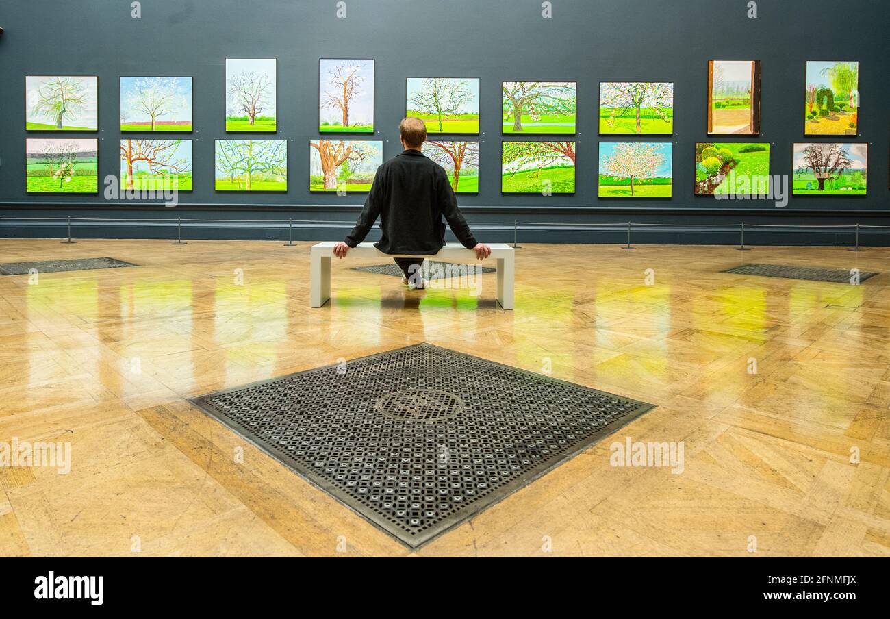 David Hockney: The Arrival of Spring, Normandy on display at one of the ...