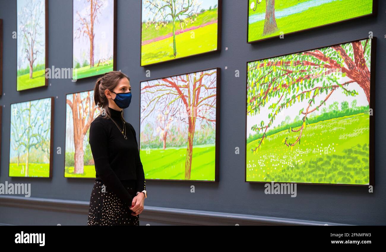 David Hockney: The Arrival of Spring, Normandy on display at one of the ...