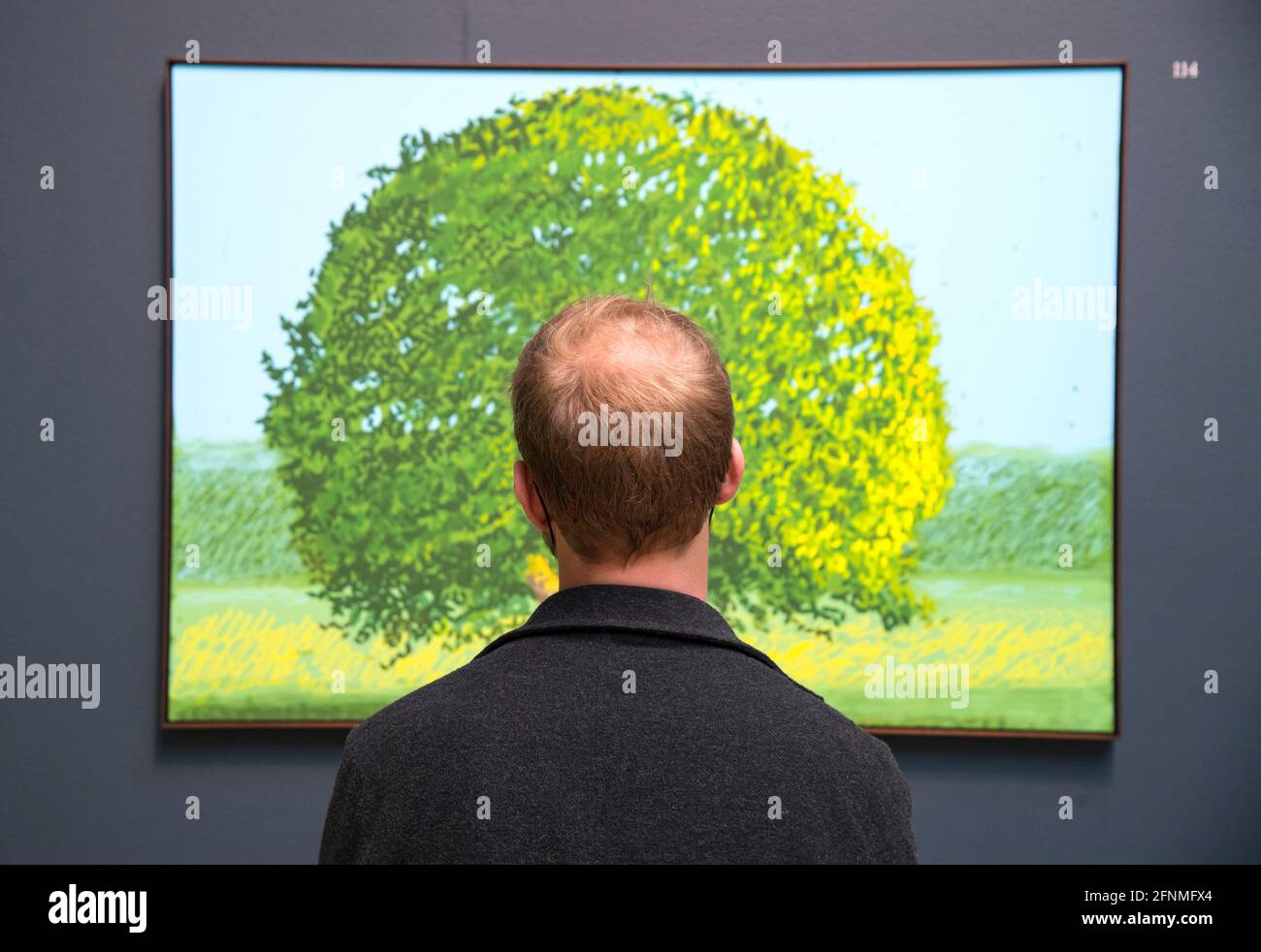David Hockney: The Arrival of Spring, Normandy on display at one of the ...