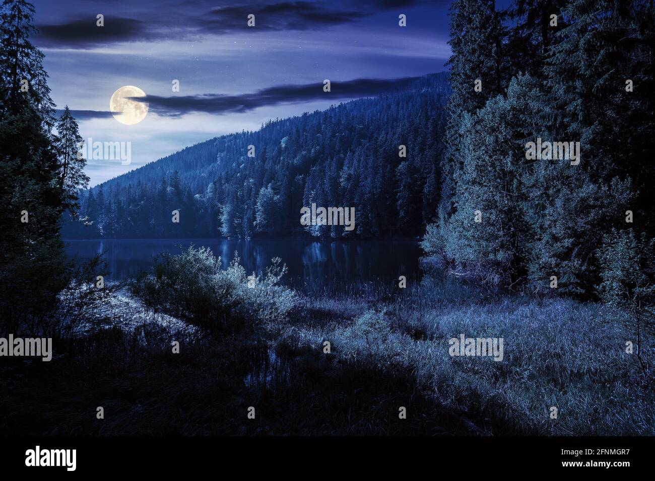 landscape with mountain lake at night. peaceful summer landscape ...