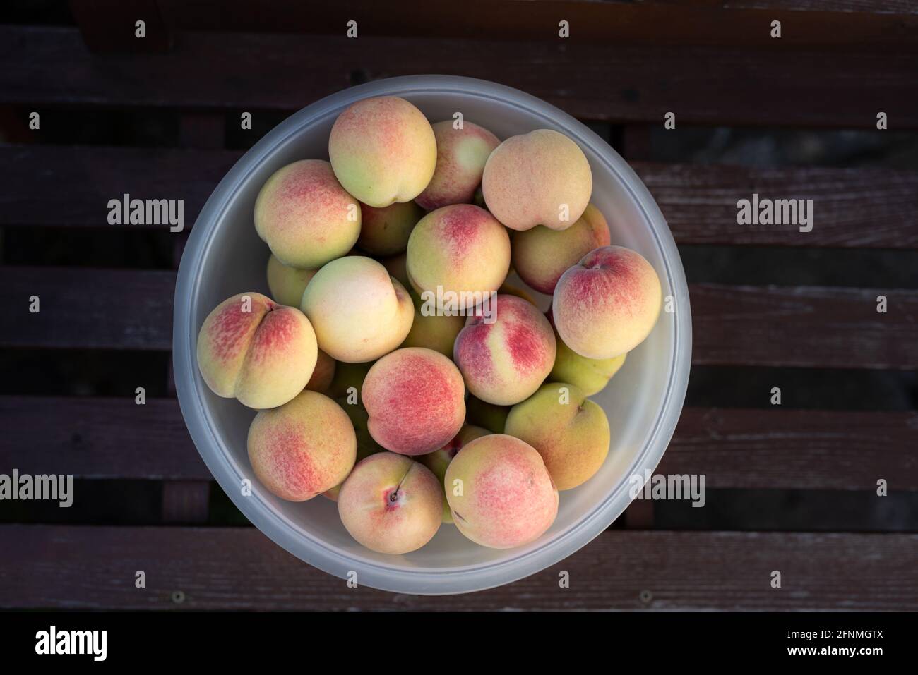 Organic peaches in a round container with a dark background. Focus on ...