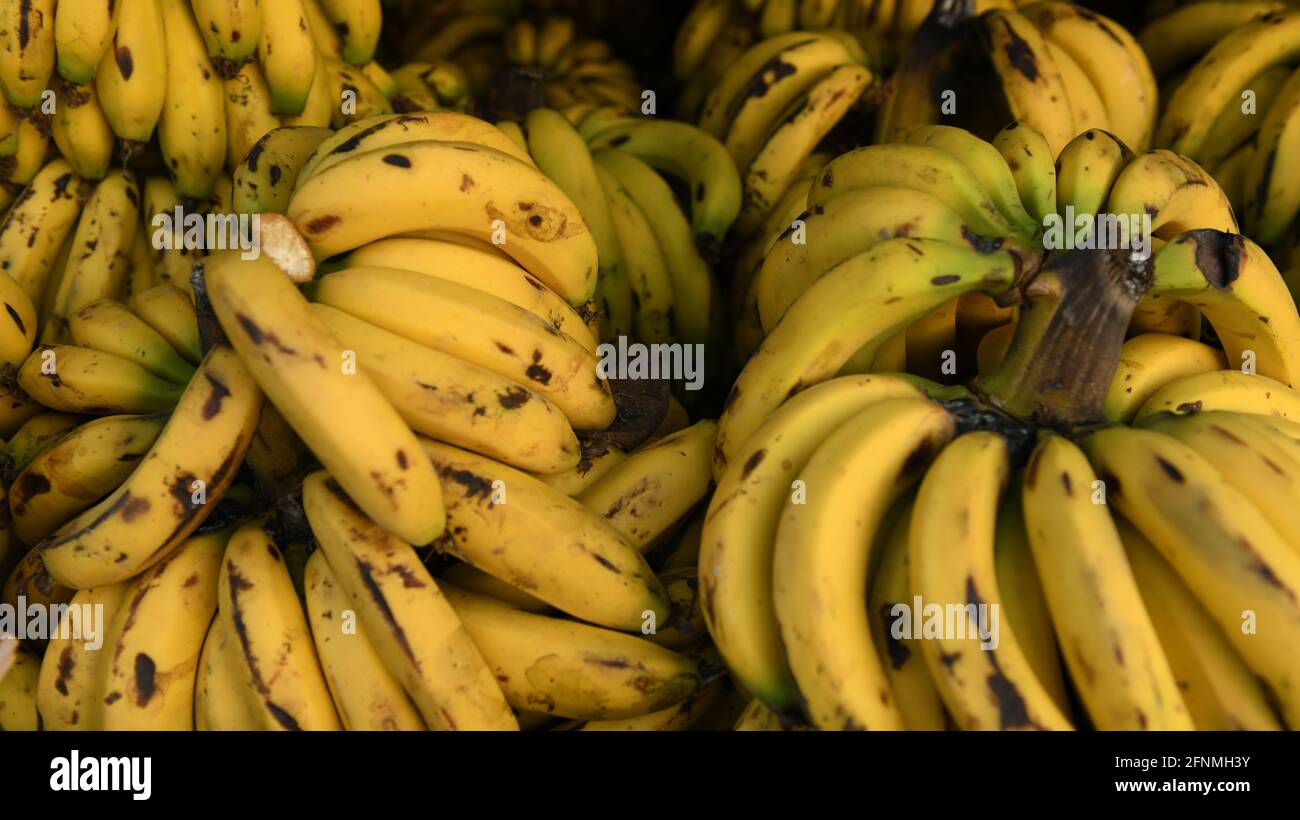 A banana is an elongated, edible fruit – botanically a berry – produced ...