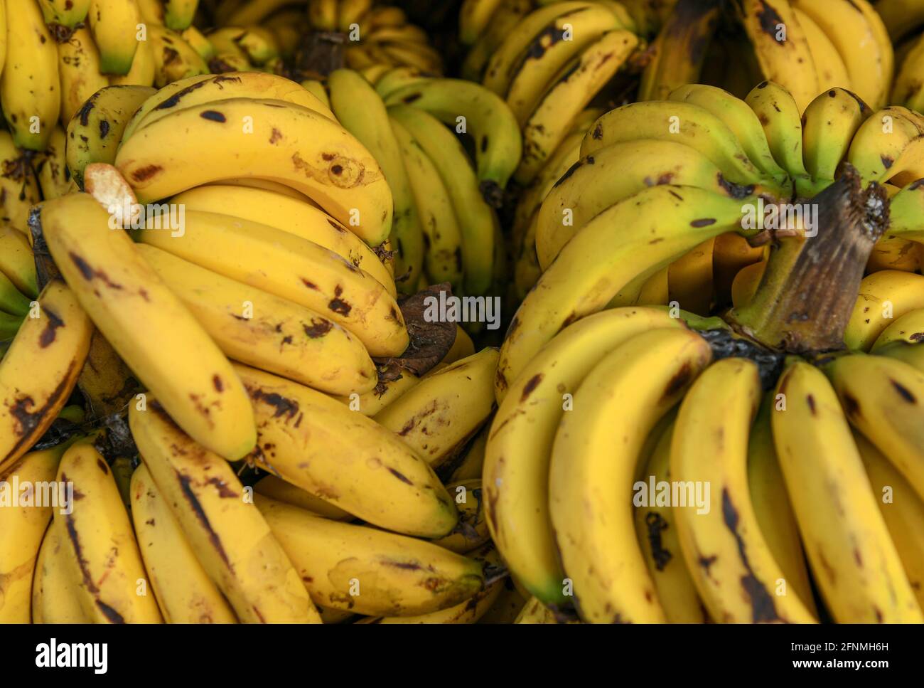 A banana is an elongated, edible fruit – botanically a berry – produced ...