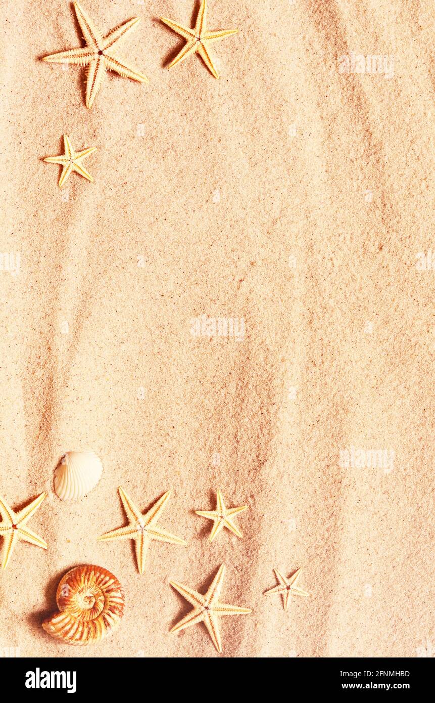 Seashell and starfish pattern on the sandy beach. Summer background ...