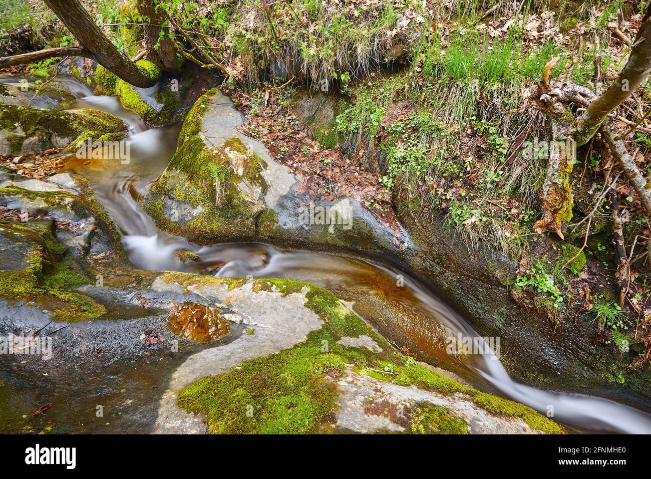 Jarama river hi-res stock photography and images - Alamy