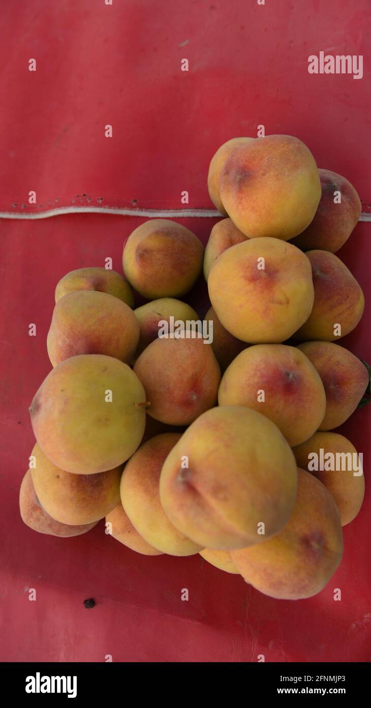 The peach is a deciduous tree native to the region of Northwest China ...