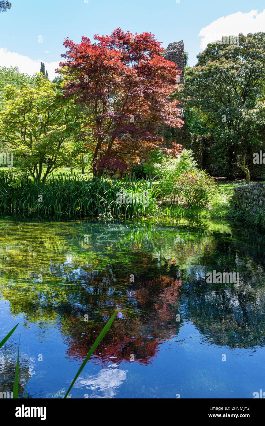 The river ninfa hi-res stock photography and images - Alamy