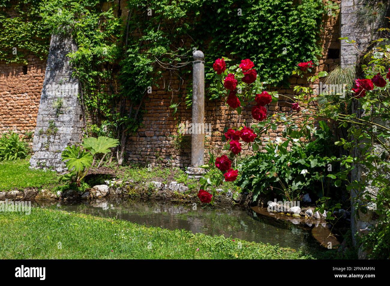 Ninfa flowers hi-res stock photography and images - Alamy