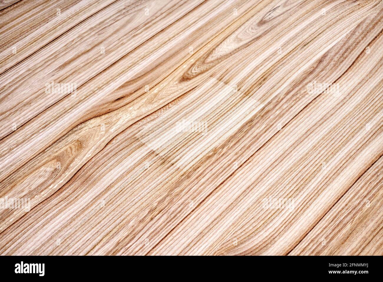 Elm slab texture. Wood texture. Live edge elm desk countertop in ...