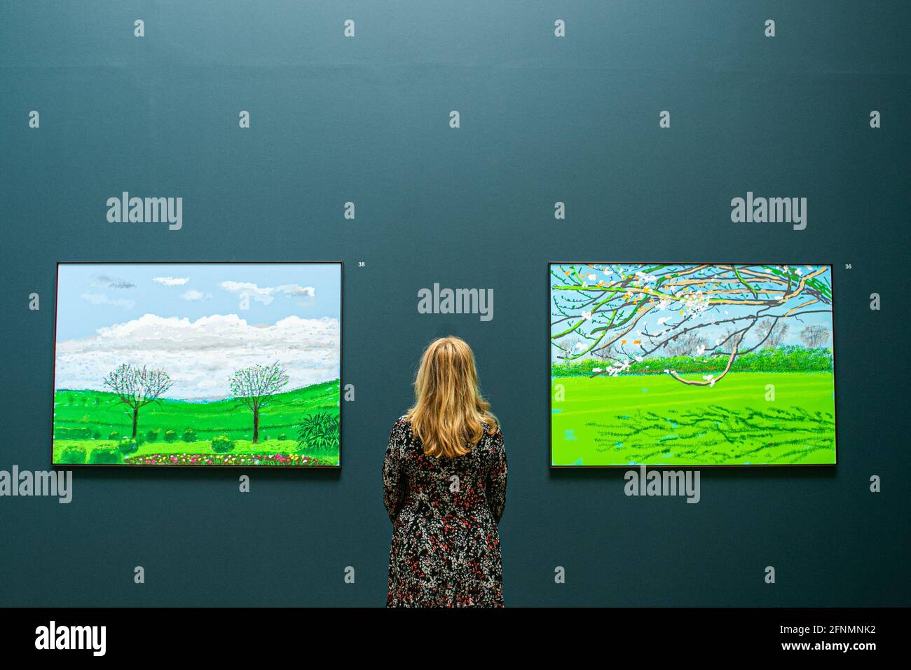 David hockney the arrival of spring normandy hi-res stock photography ...