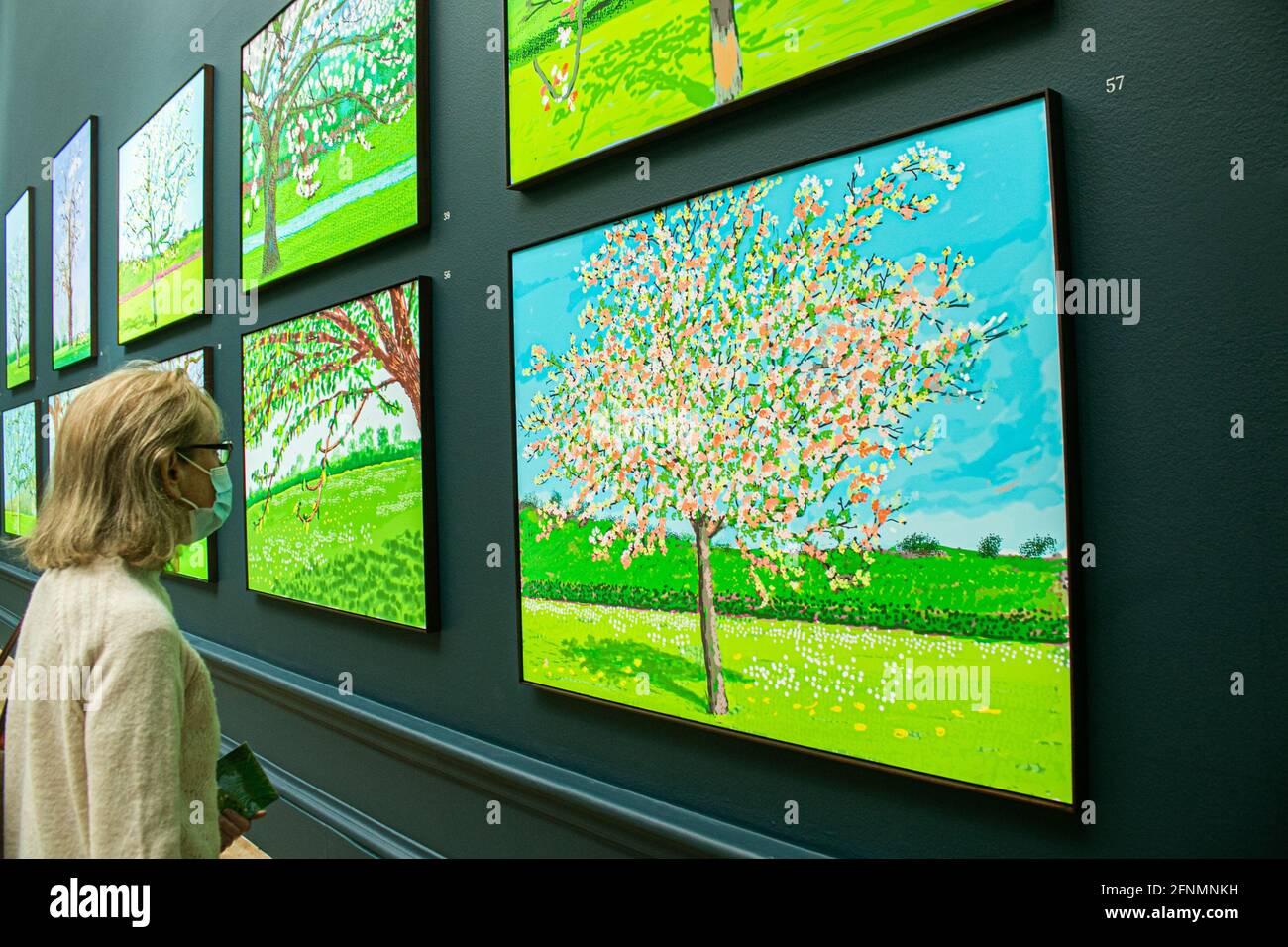LONDON 18 May 2021. The preview of "David Hockney: The Arrival of ...