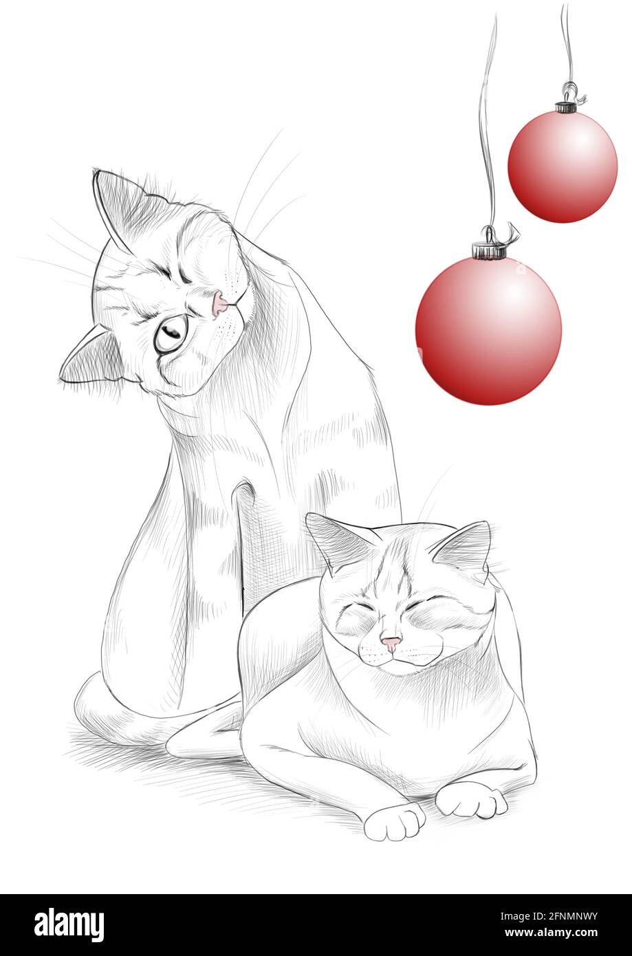 Cat christmas card cute Cut Out Stock Images & Pictures - Alamy