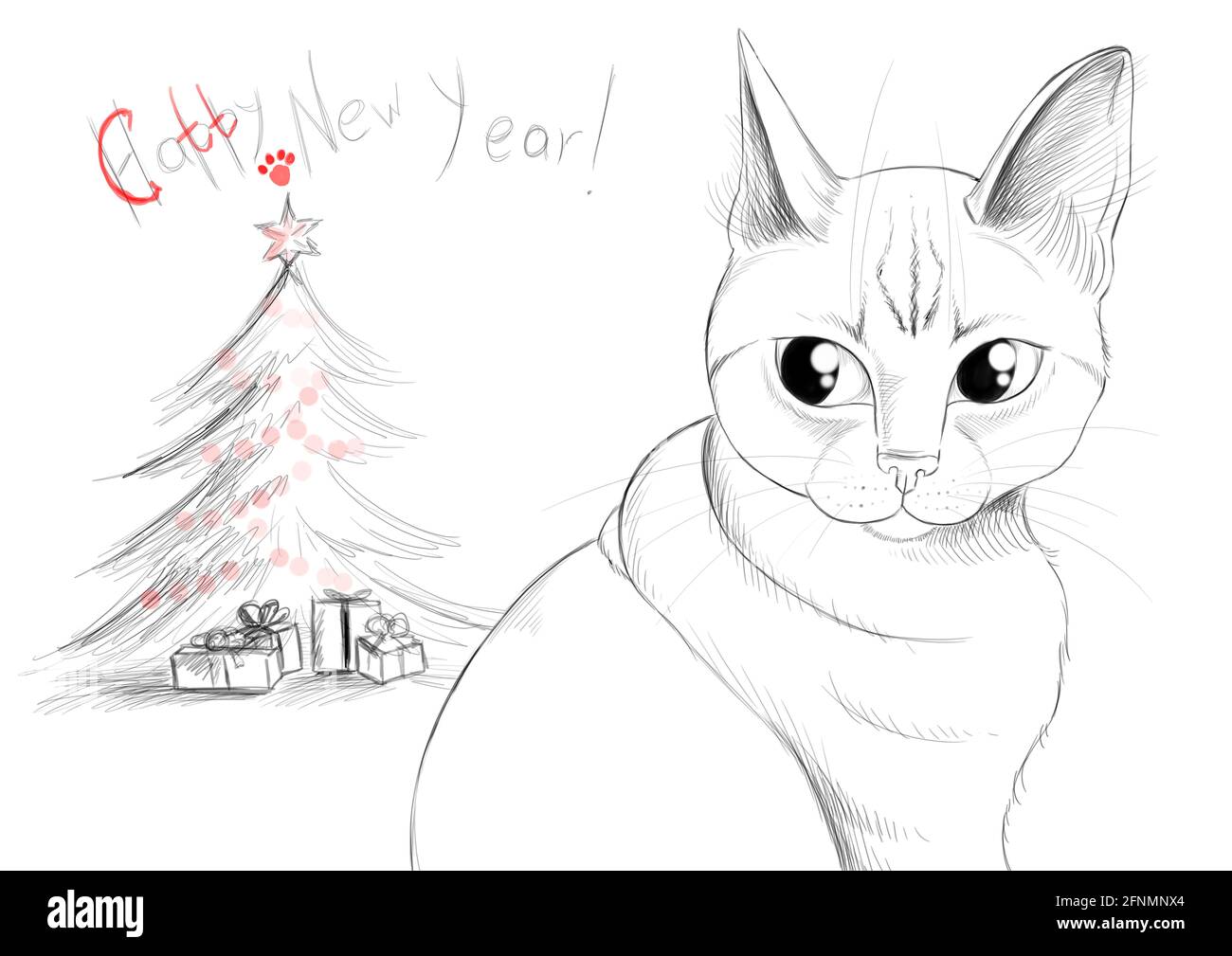 Cat Sketch