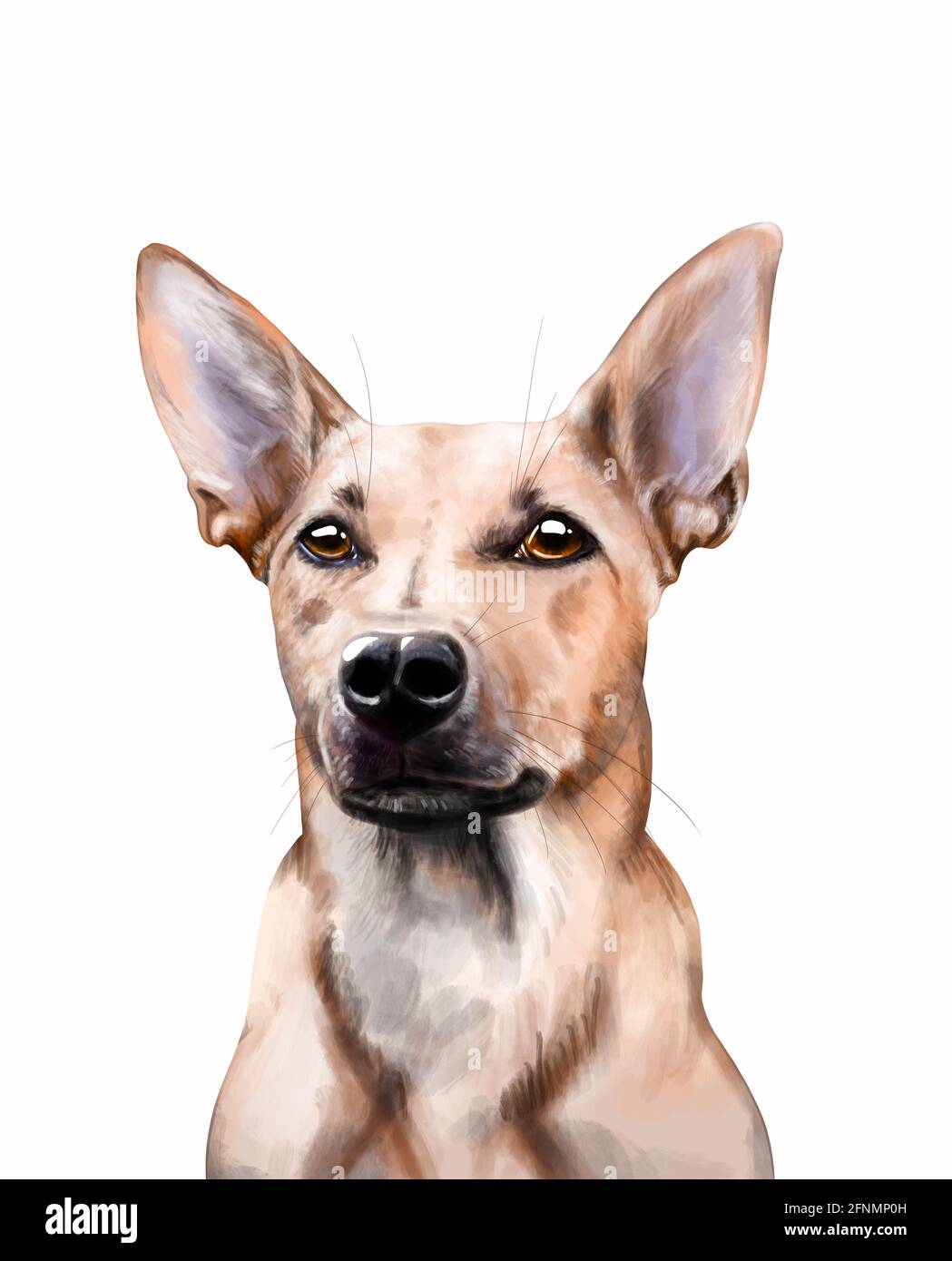 Realistic portrait of a dog Stock Photo - Alamy