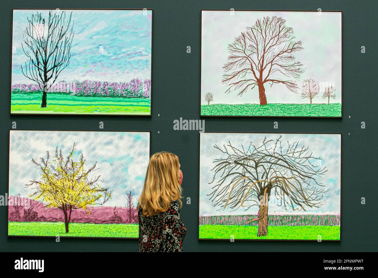 LONDON 18 May 2021. The preview of "David Hockney: The Arrival of ...