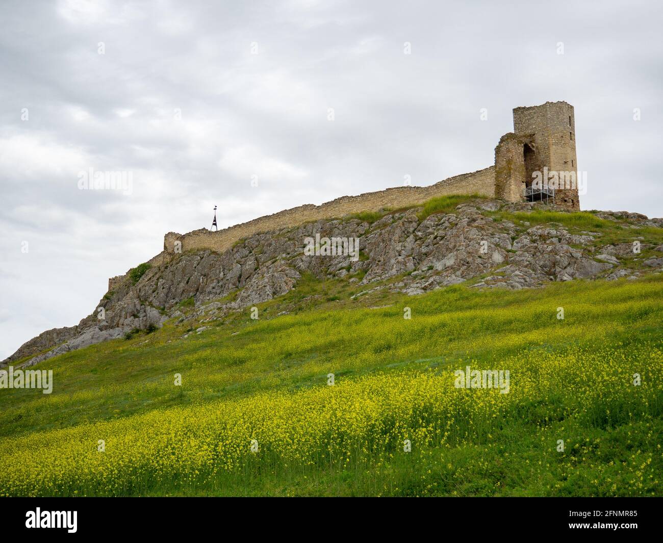 Enisala fortress ruins in a green-yellow field under a cloudy sky in ...