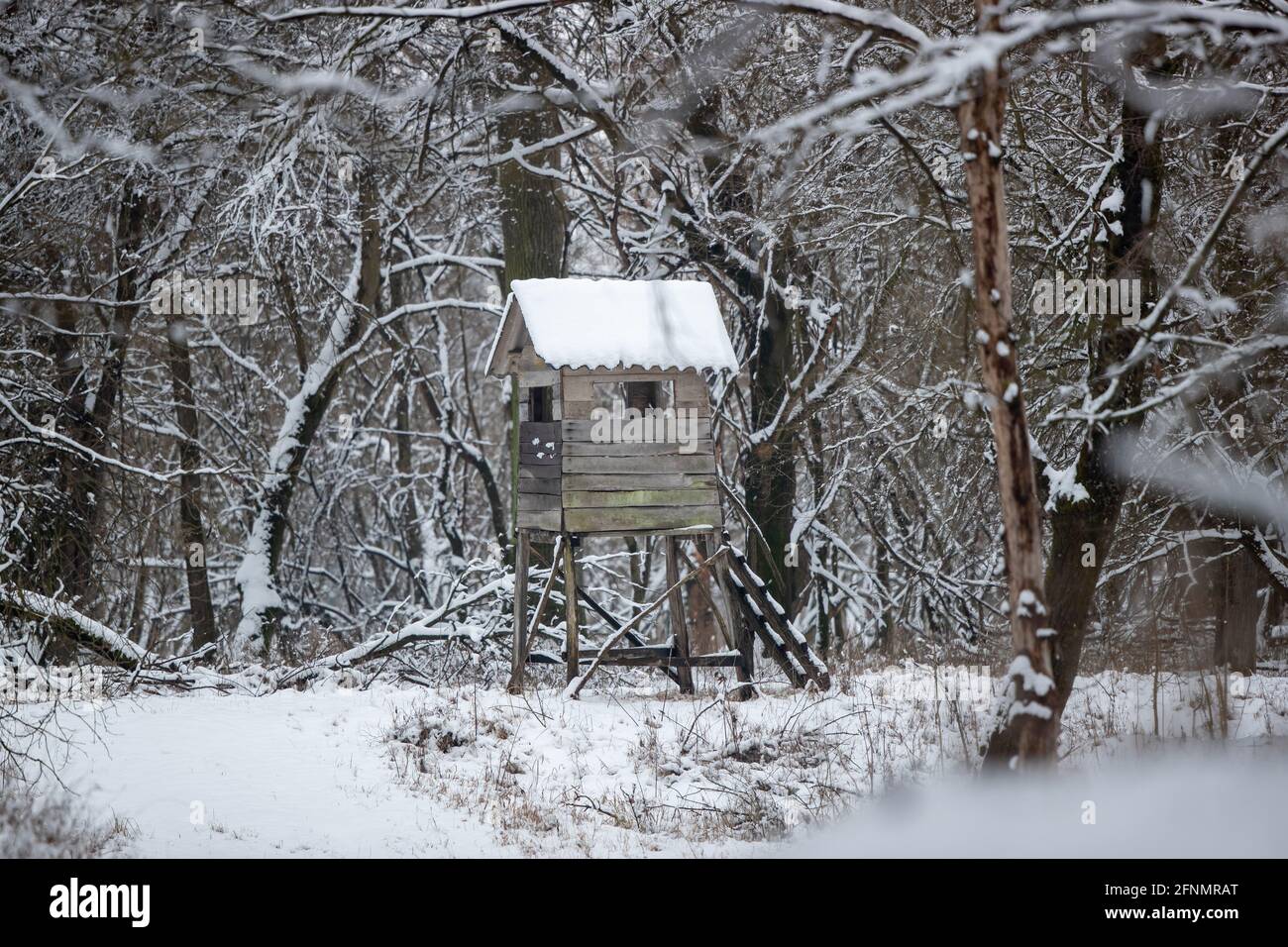Wooden watchtower hi-res stock photography and images - Alamy