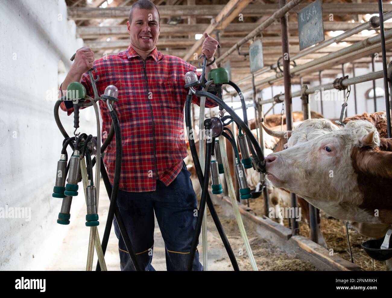 Young satisfied farmer holding two milking facilities in hands in front ...