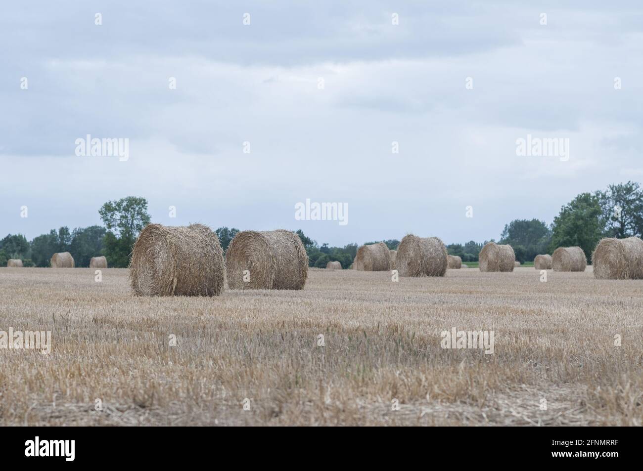Hay rolls in a valley in the French Brittany Region Stock Photo - Alamy