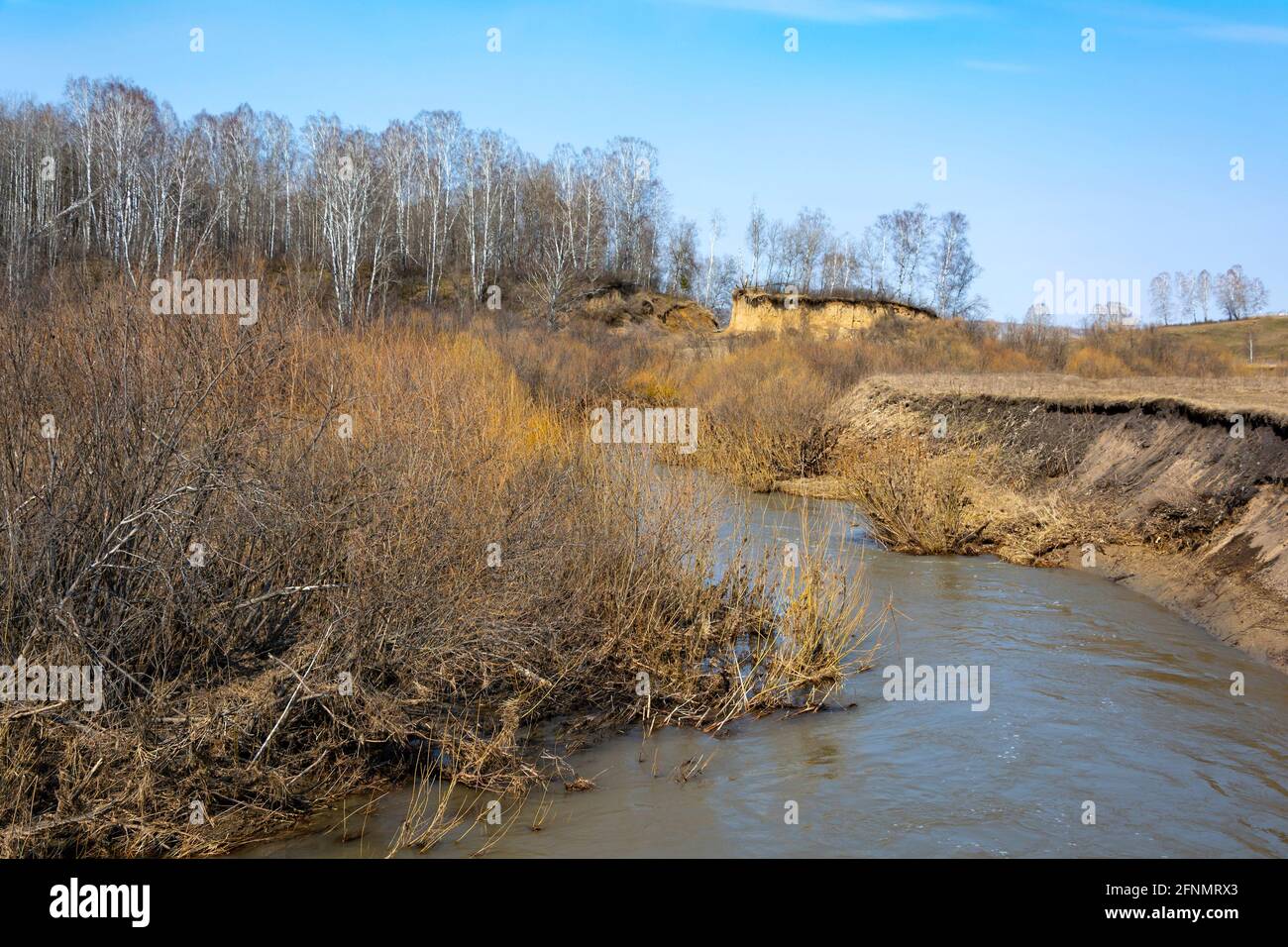 Small river Ust-Strelina during the spring flood, Kemerovo region ...
