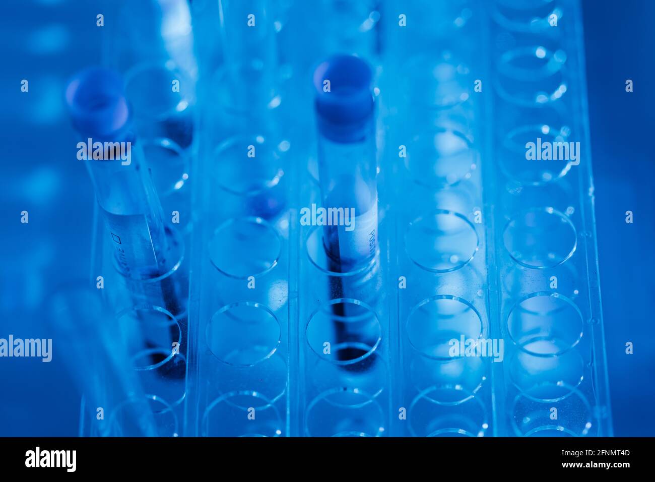 Detail of test tubes on laboratory table, with blue light environment ...