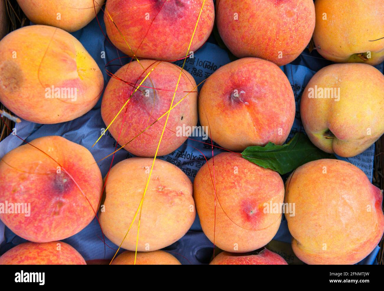 The peach is a deciduous tree native to the region of Northwest China ...
