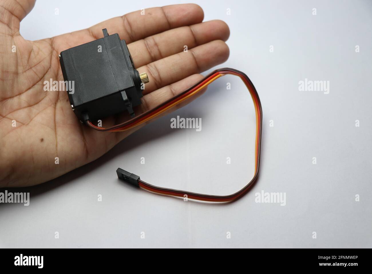 Black ram project hi-res stock photography and images - Alamy