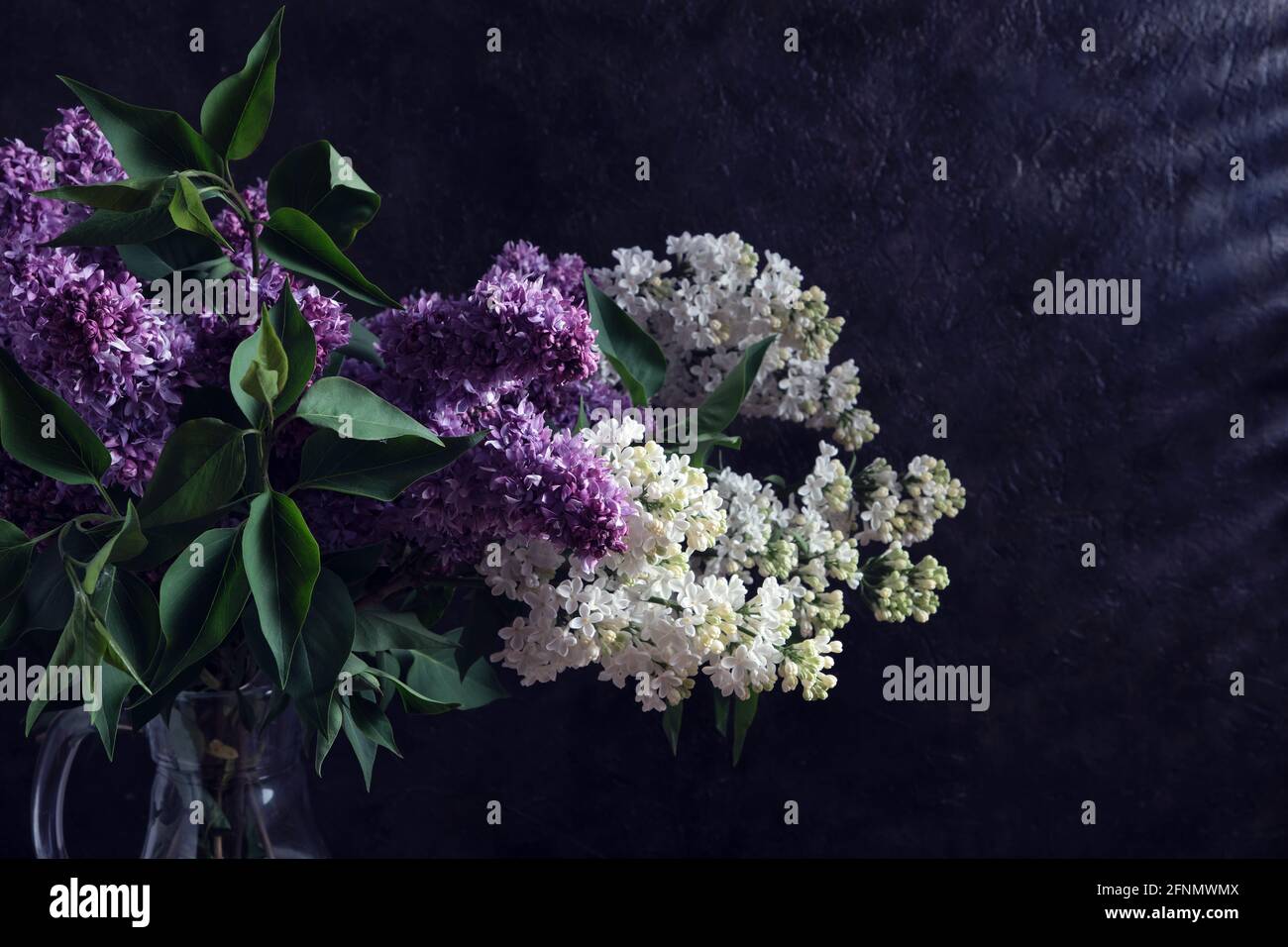 Weak light hi-res stock photography and images - Alamy