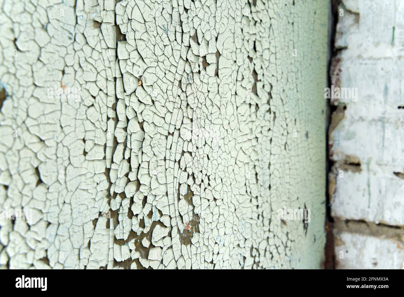 Green peeling paint on the wooden wall. Weathered rough painted surface ...