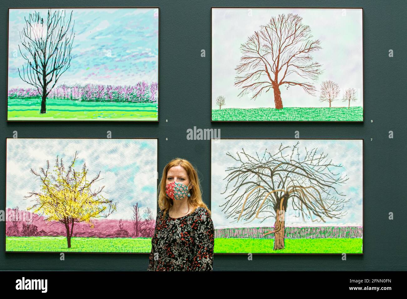 LONDON 18 May 2021. The preview of "David Hockney: The Arrival of ...